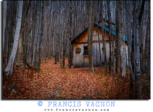 La cabane à sucre et le douanier - Francis Vachon - Photographe à Québec
