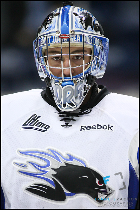 Photos de l’édition 2011-2012 des Seadogs de Saint John de la LHJMQ ...